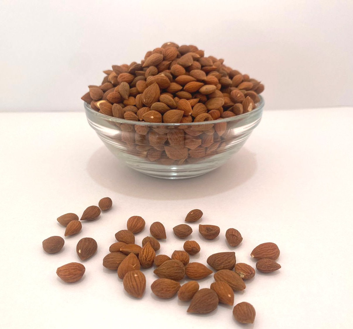 Raw Bitter Apricot Kernels Wild-crafted, 100% Natural From Himalayas, 2 ...