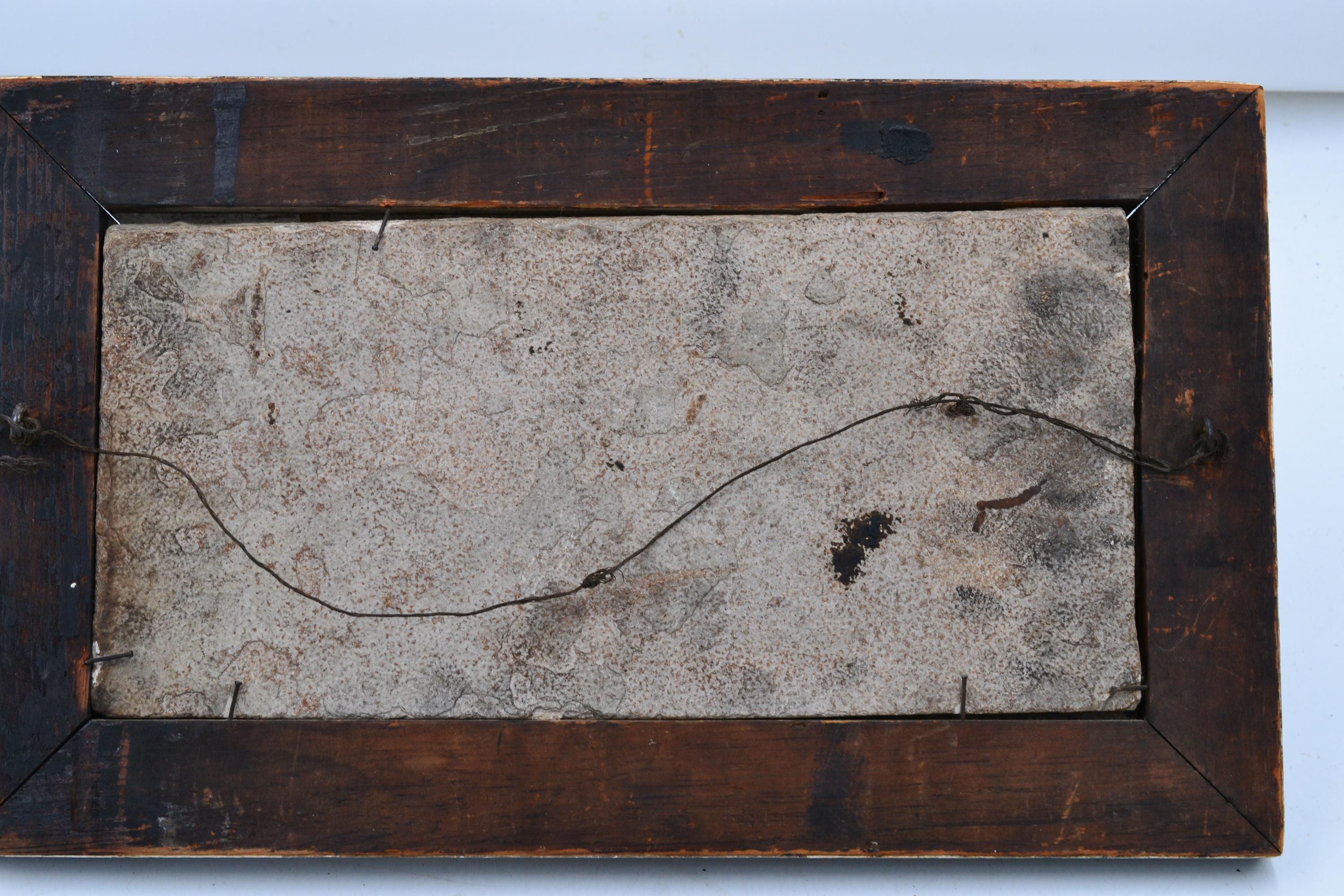 Vintage Rare Priscacara Fish Fossil Slab, Large, Framed, Green River ...