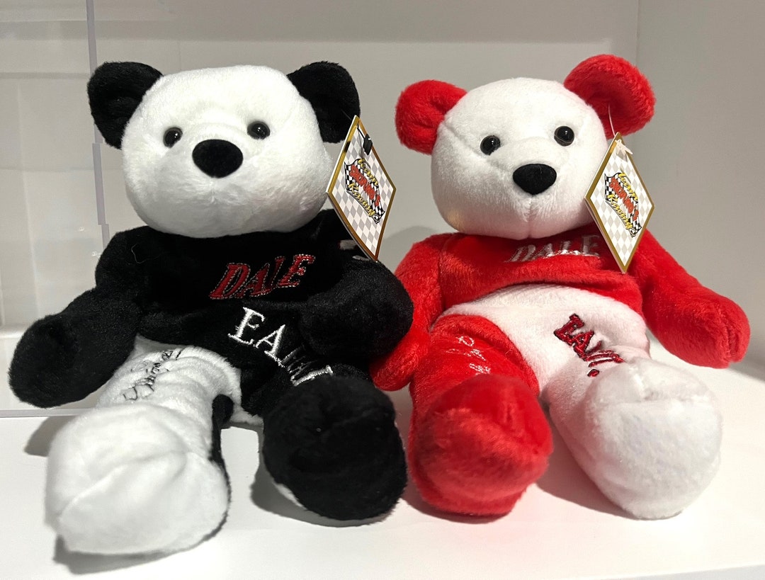 Collectible Heroes - Dale and Dale Jr - NASCAR Earnhardt Father and Son ...