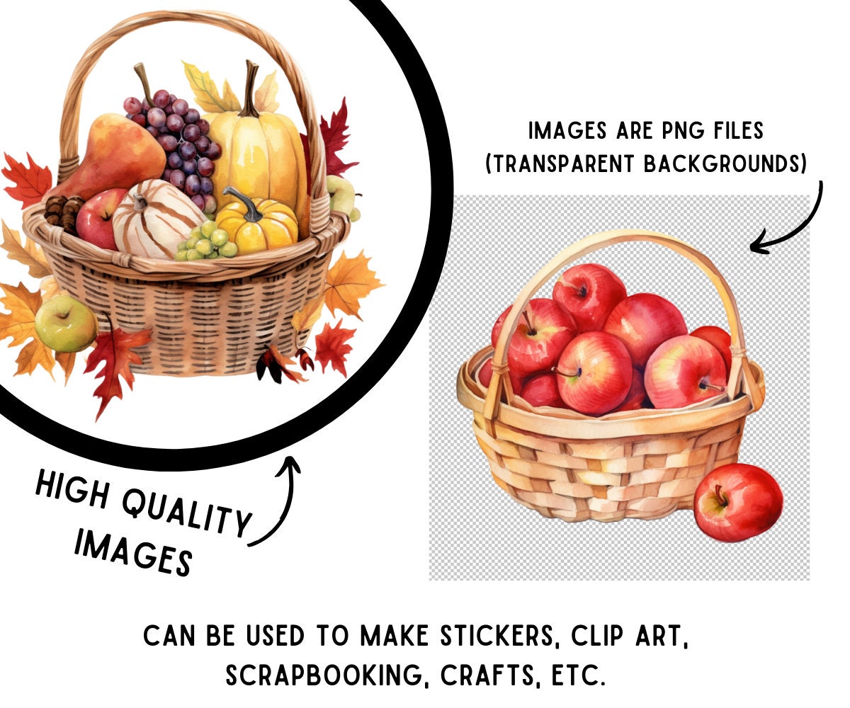 Thanksgiving Clipart & Seamless Patterns Autumn, Turkey, Pie, Pumpkins ...