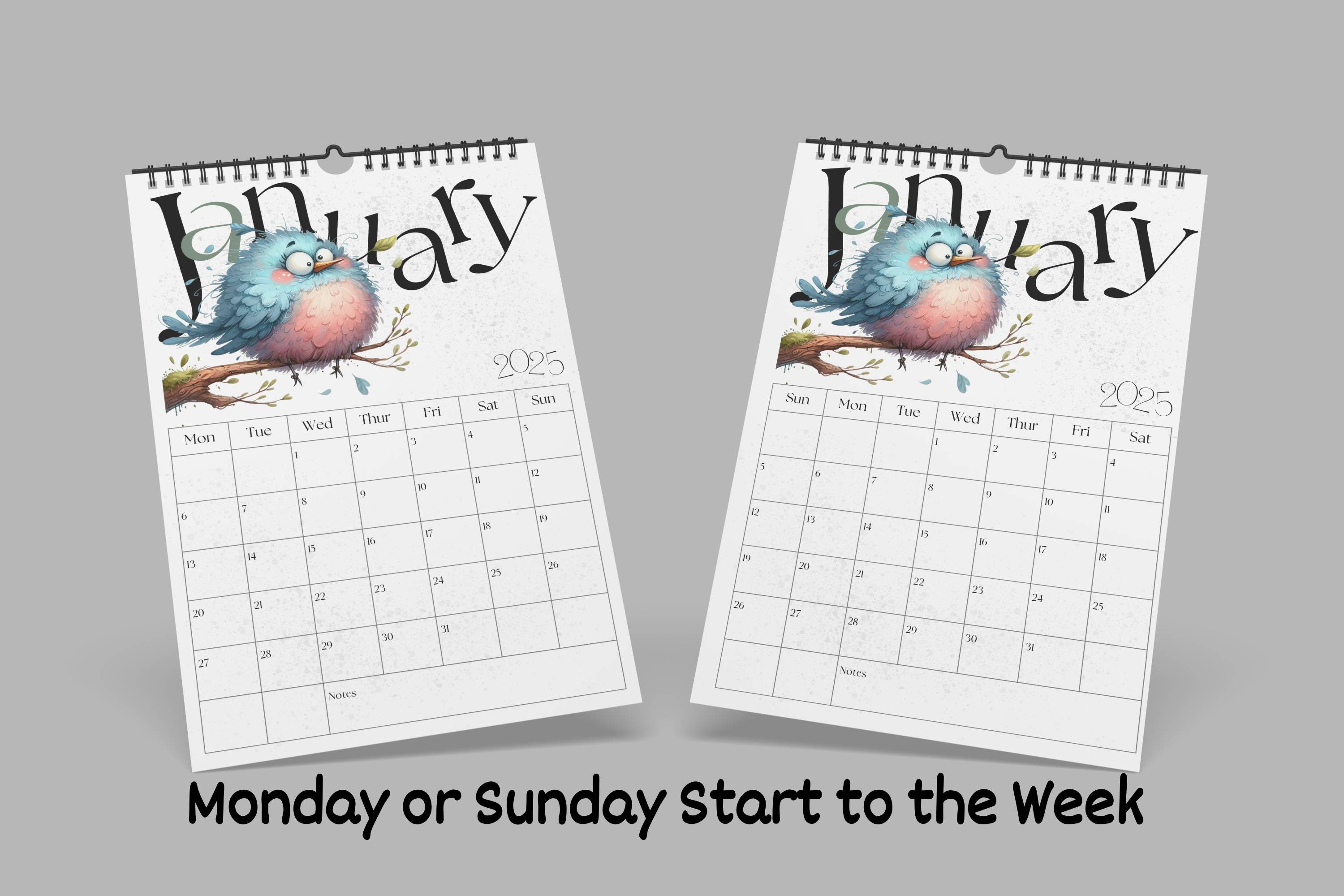 2025 Calendar - Quirky Bird Wall Calendar - Sunday or Monday Start ...