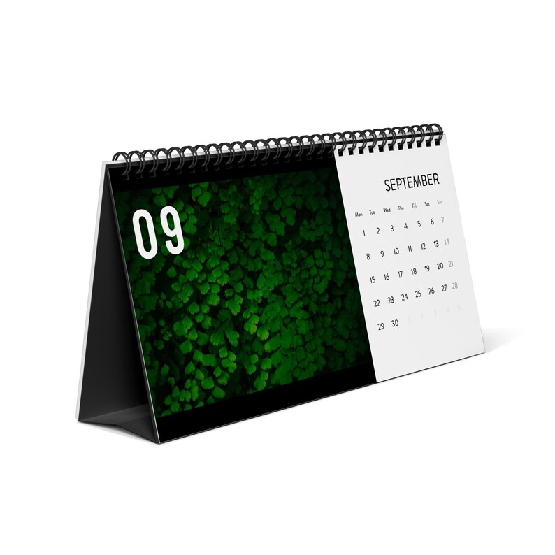 2025 Desktop Tent Calendar Elegant Green Foliage Design Monthly View ...