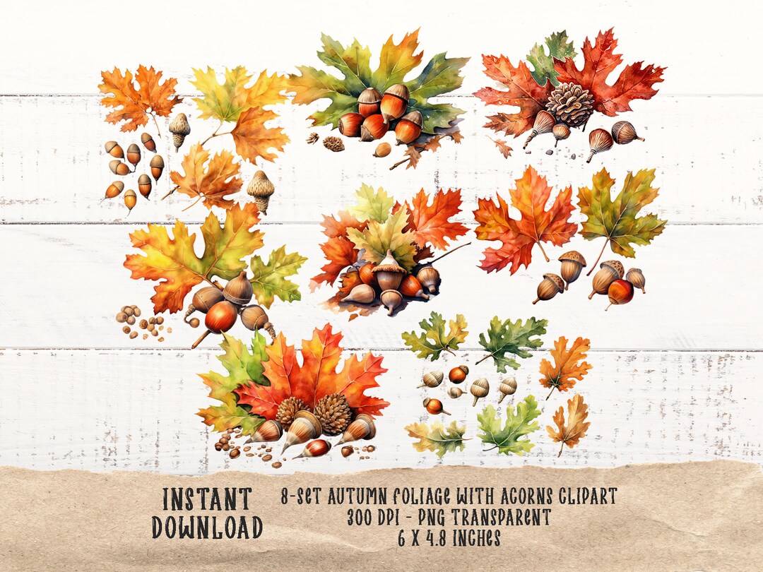 Watercolor Autumn Maple and Oak Leaves Clipart With Acorns in PNG ...