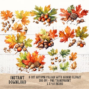 Watercolor Autumn Maple and Oak Leaves Clipart With Acorns in PNG ...
