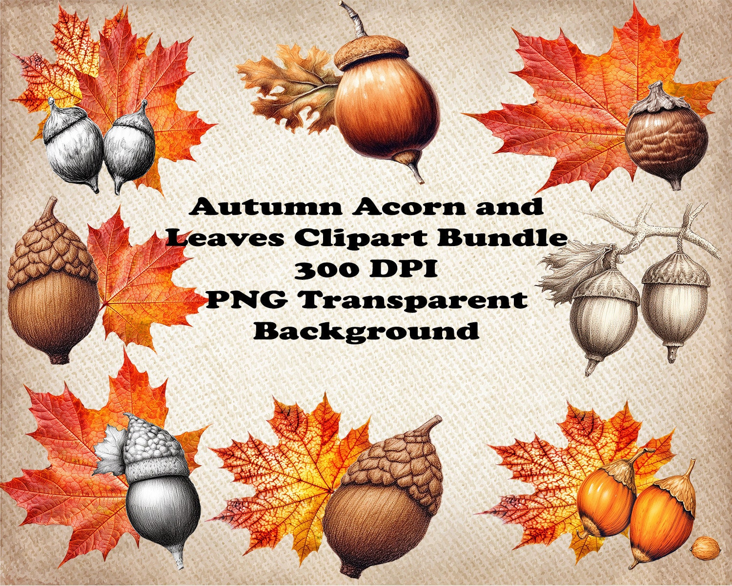 Watercolor Acorn Leaves Clipart Bundle Acorn and Maple Leave Clipart ...