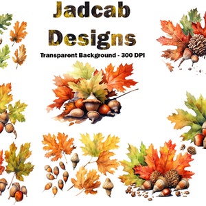 Watercolor Autumn Maple and Oak Leaves Clipart With Acorns in PNG ...
