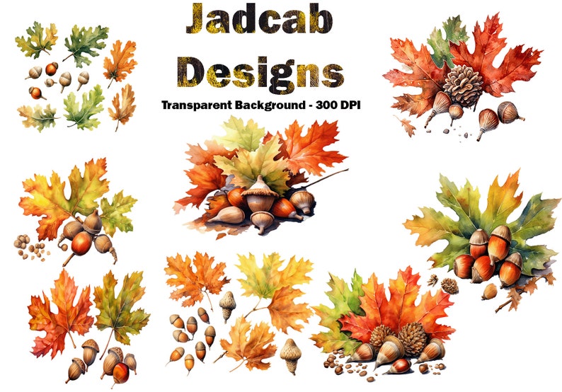 Watercolor Autumn Maple and Oak Leaves Clipart With Acorns in PNG ...