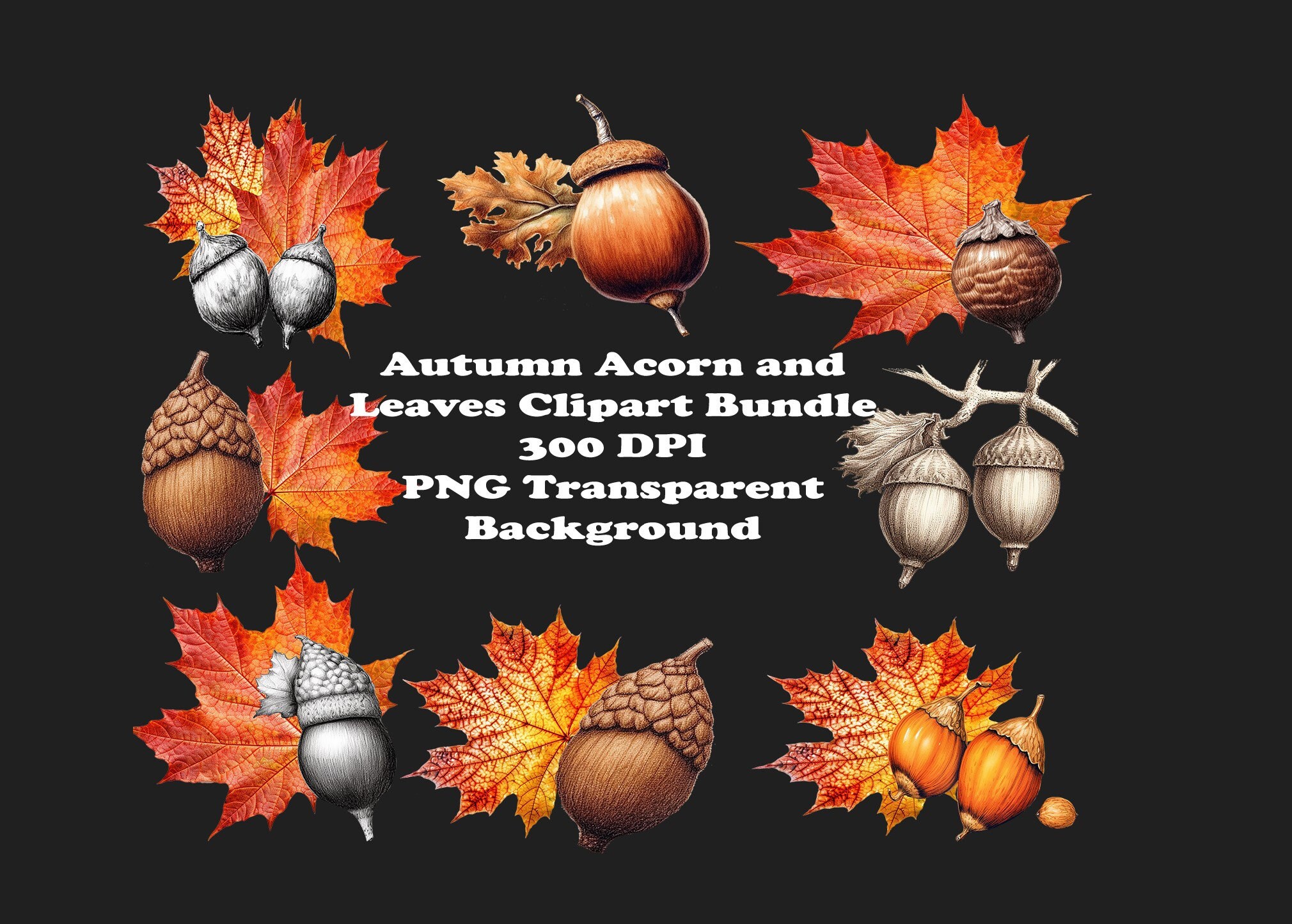 Watercolor Acorn Leaves Clipart Bundle Acorn and Maple Leave Clipart ...