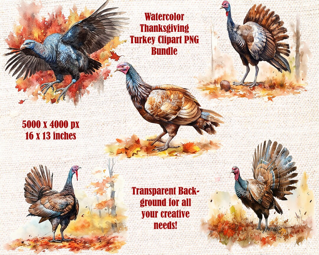 Turkey Clipart Thanksgiving Clipart Watercolor Thanksgiving - Etsy