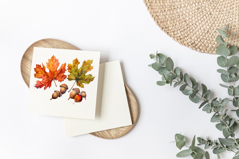 Watercolor Autumn Maple and Oak Leaves Clipart With Acorns in PNG ...