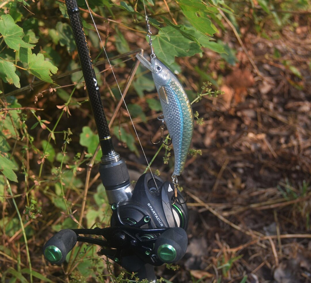 Handmade Humpback Bleak Crankbait: Pike, Zander, Bass Wobbler - Etsy