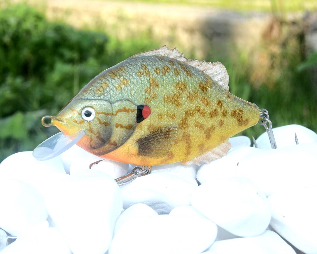 4" Bluegill Swimbait – Realistic Panfish Lure With Rattle, Gift Box ...