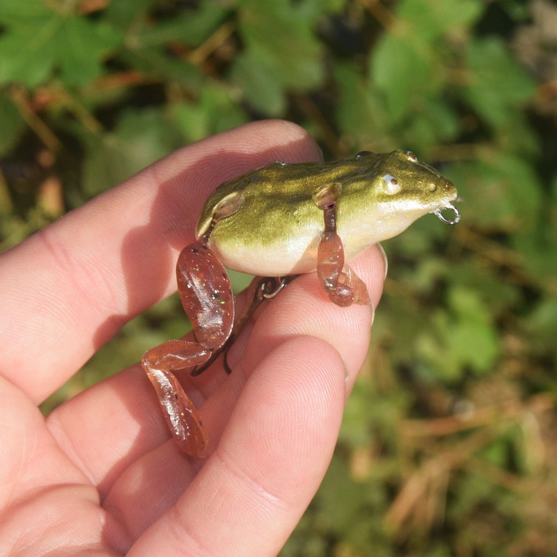 Funny Fishing Lure - Etsy