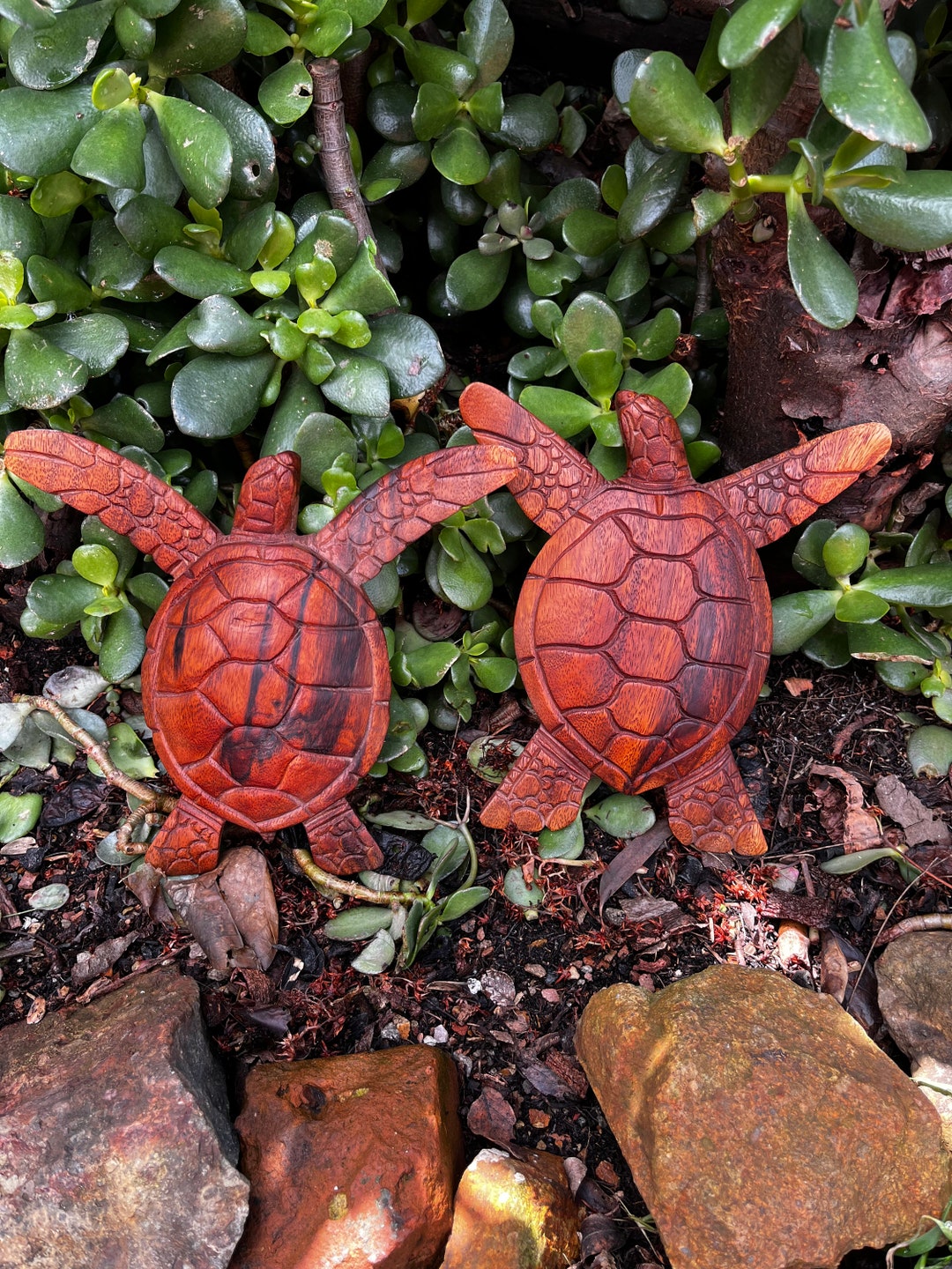 Hand Carved Mahogany Wooden Sea Turtle Wall Plaque Sculptures From ...