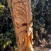Hand Carved Wooden Greenman Tree Spirit Stump Carving From Bali-39x7 ...