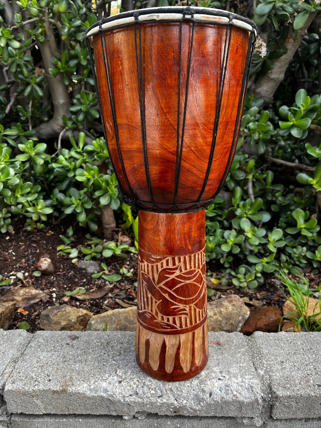 Hand Carved Crafted Wooden Goat Skin Sea Turtle Tall Djembe Hand Drum ...