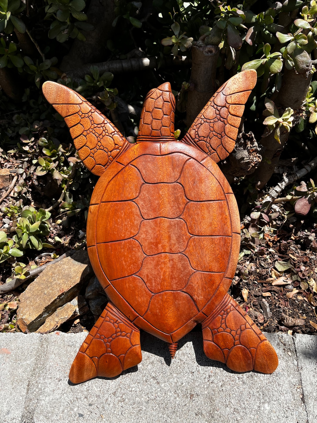 Tropical Hand Carved Mahogany Wooden Sea Turtle Wall Plaque From Bali ...