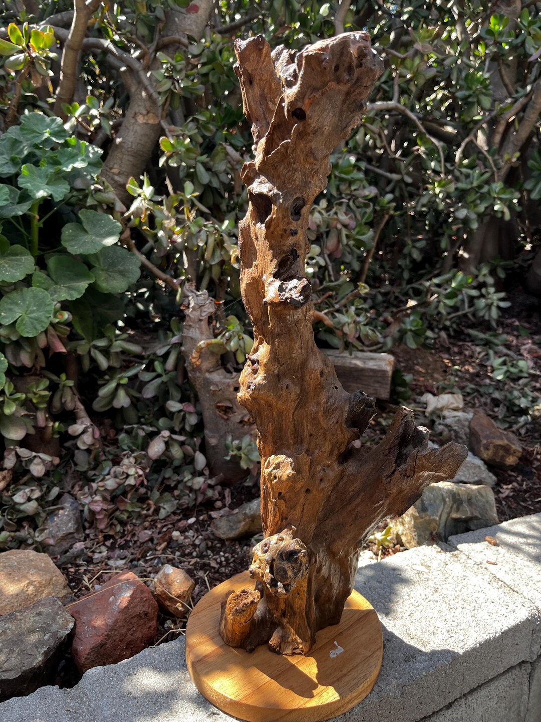 Hand Carved Wooden Modern Abstract Tree Stump Art Sculpture From Bali ...