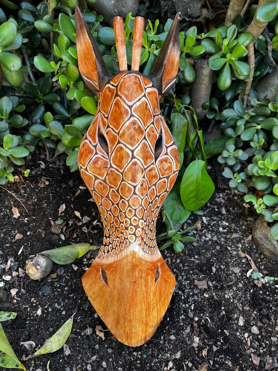 Hand Carved Wooden Giraffe Mask From Bali-20x6 Inches - Etsy