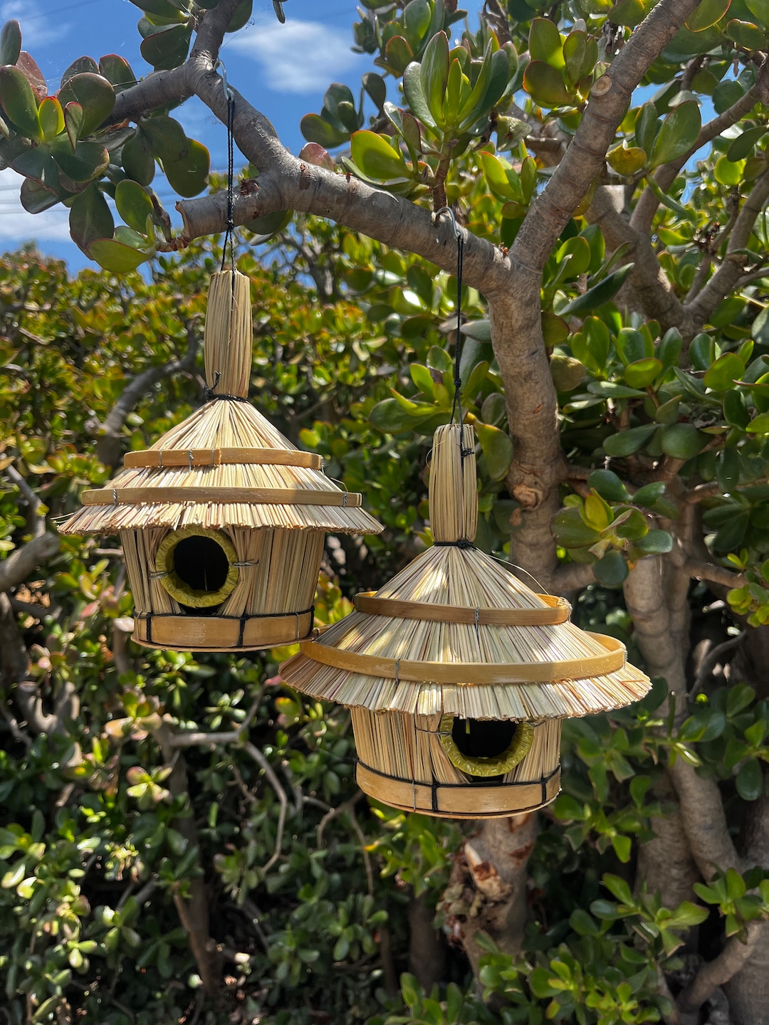 Eco-friendly Hand-crafted Wooden Bamboo Birdhouse Hut Set of 2 From ...