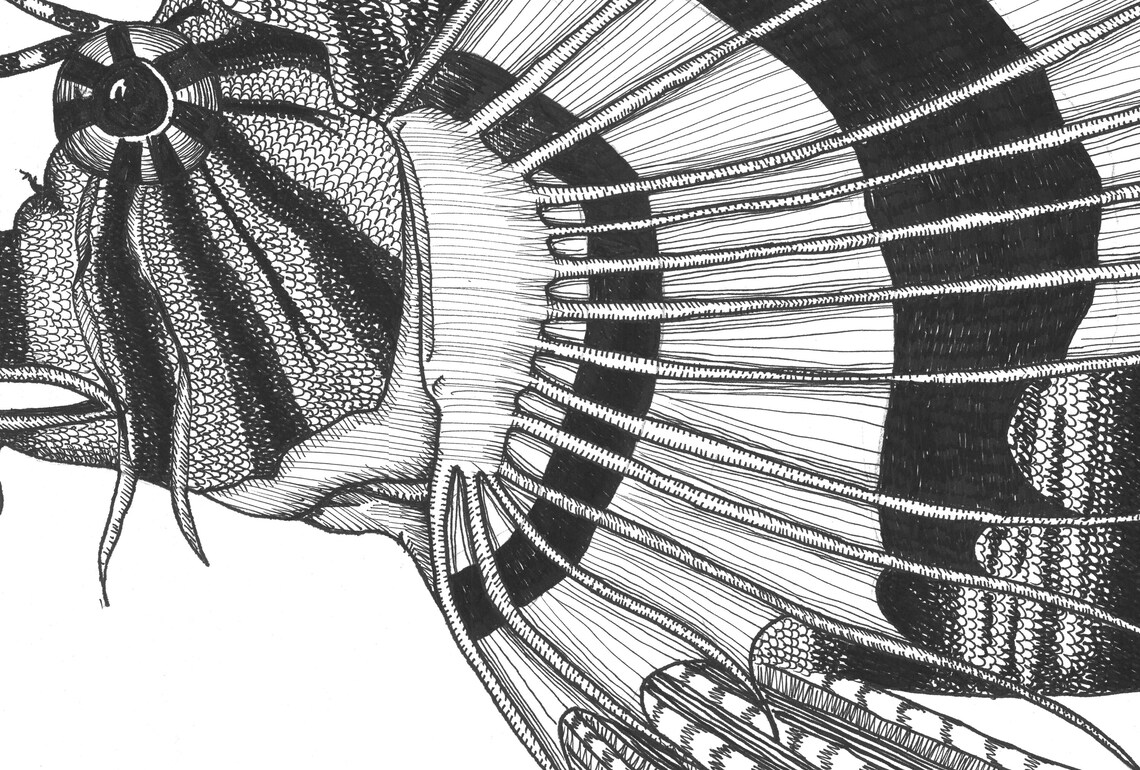 Tropical Lion Fish Print - Etsy