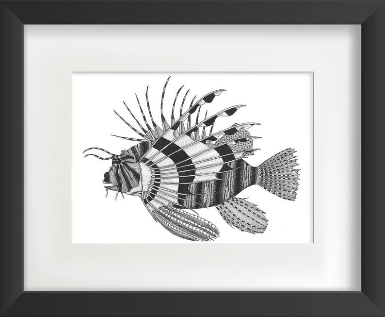 Tropical Lion Fish Print - Etsy