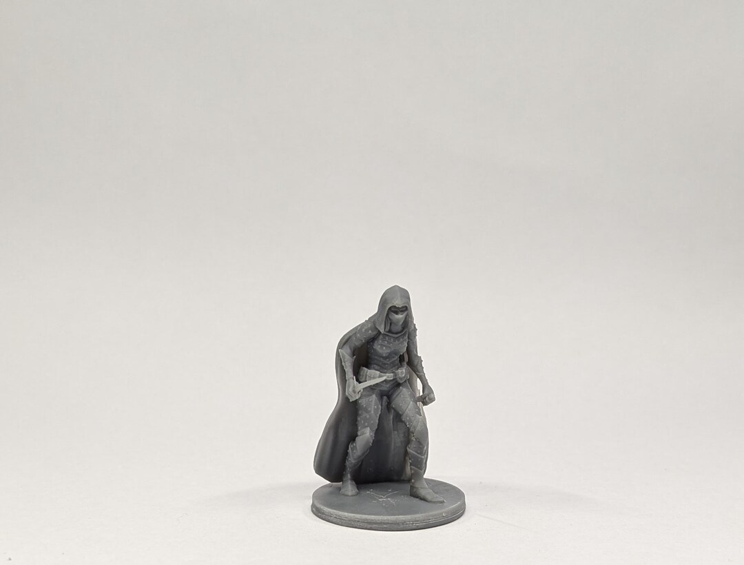 Assassin female unpainted Miniature for Table Top Gaming - Etsy