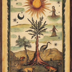 Medieval Alchemy Tarot Oracle Cards collectible Set of 9 - Etsy