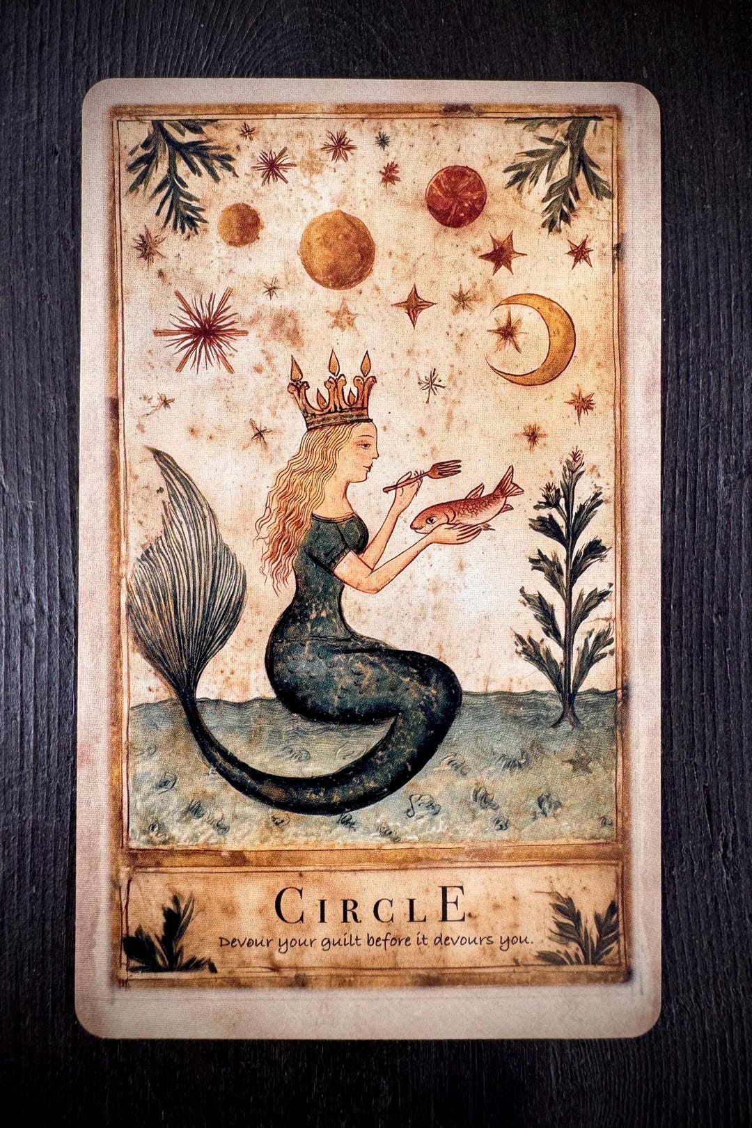 The ‘circle’ Pack | Kingdom of Fools Collectible Oracle Cards - Etsy