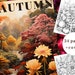 34 Autumn Coloring Page, Autumn Coloring Book, Coloring Book, Adults ...