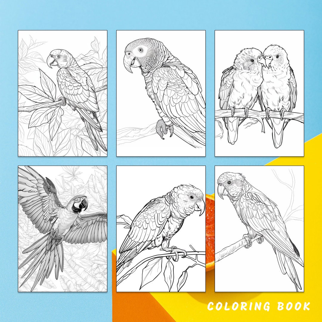 25 Parrots Coloring Page, Birds Coloring, Parrots Coloring Book, Adults ...