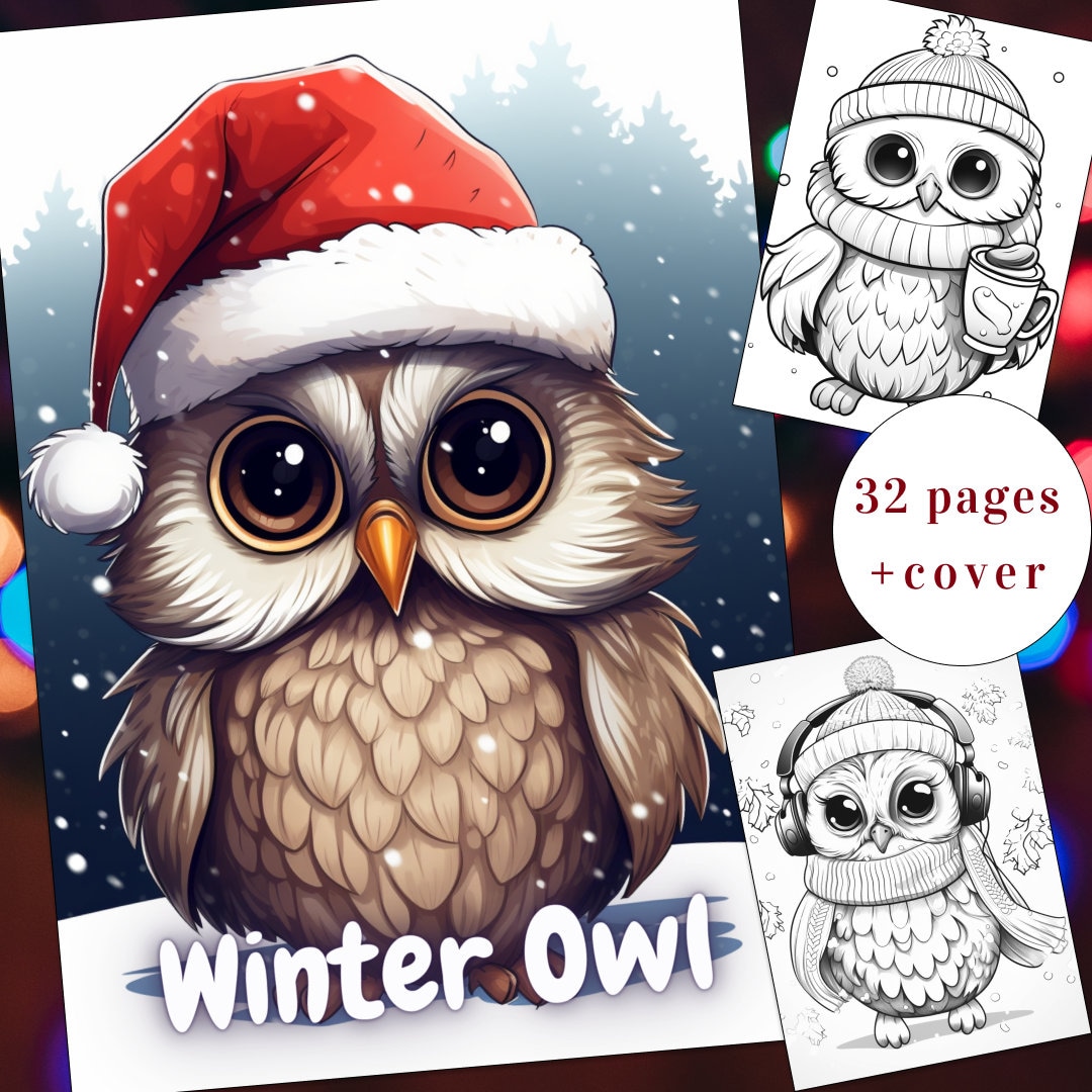 32 Winter Owl Coloring Page, Cute Owl Coloring Book, Owl Coloring Book ...