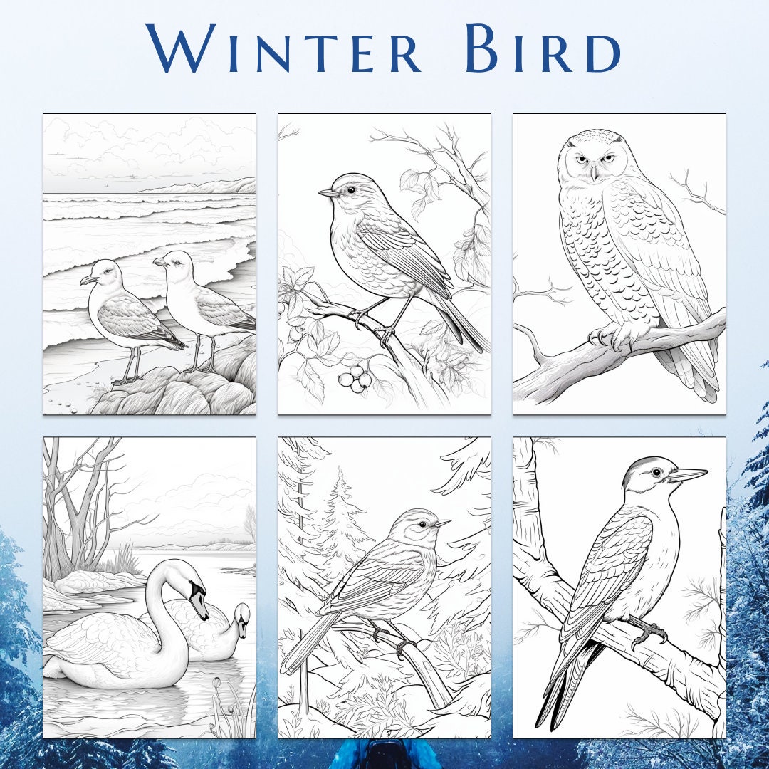 23 Winter Bird Coloring Page, Fantasy Coloring, Winter Coloring, Adults ...