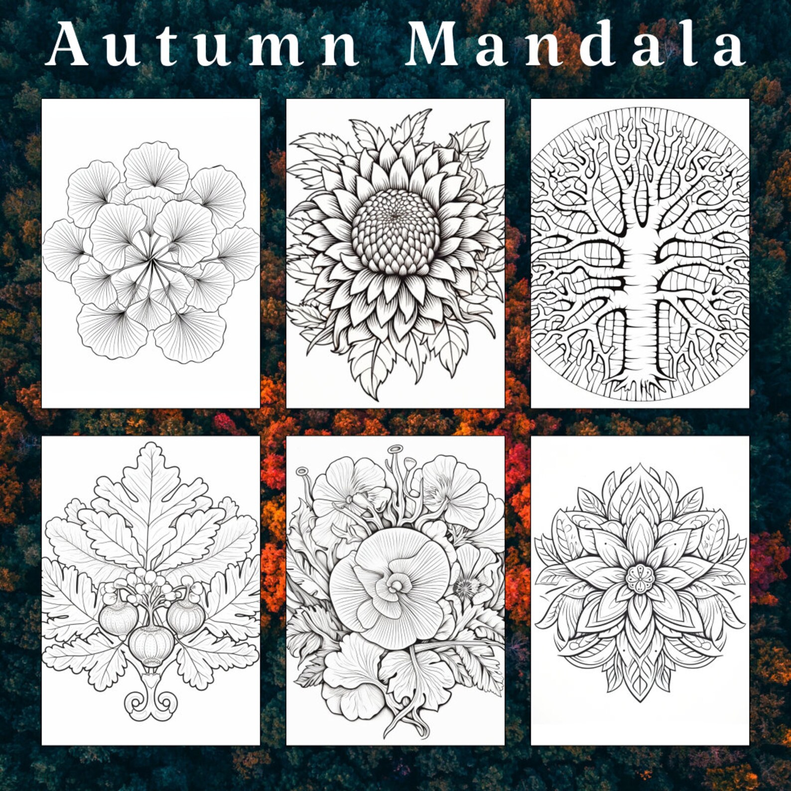 34 Autumn Mandala Coloring Page, Autumn Coloring, Coloring Book, Adults ...