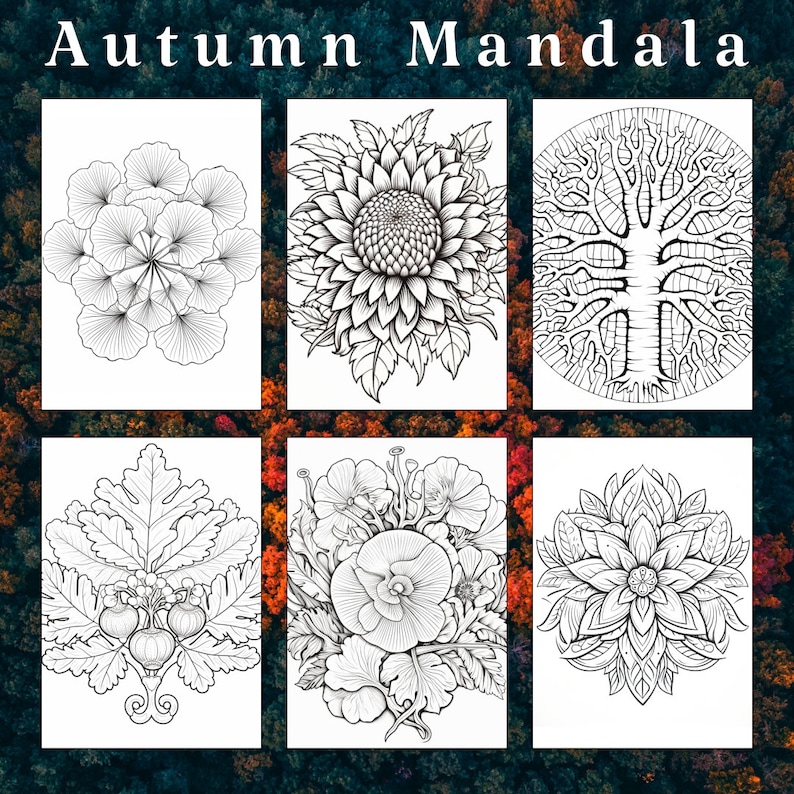 34 Autumn Mandala Coloring Page, Autumn Coloring, Coloring Book, Adults ...