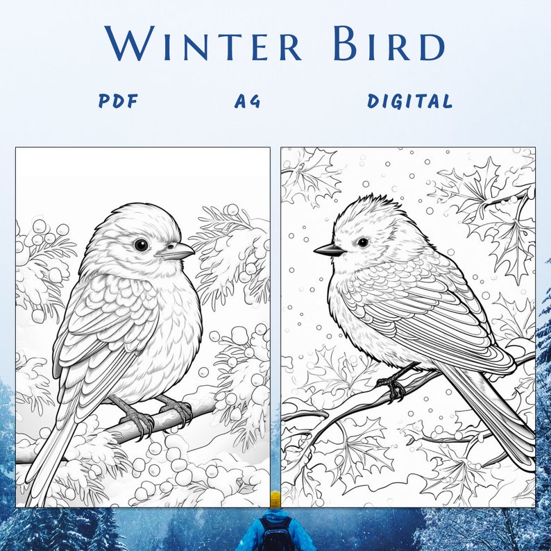 23 Winter Bird Coloring Page, Fantasy Coloring, Winter Coloring, Adults ...