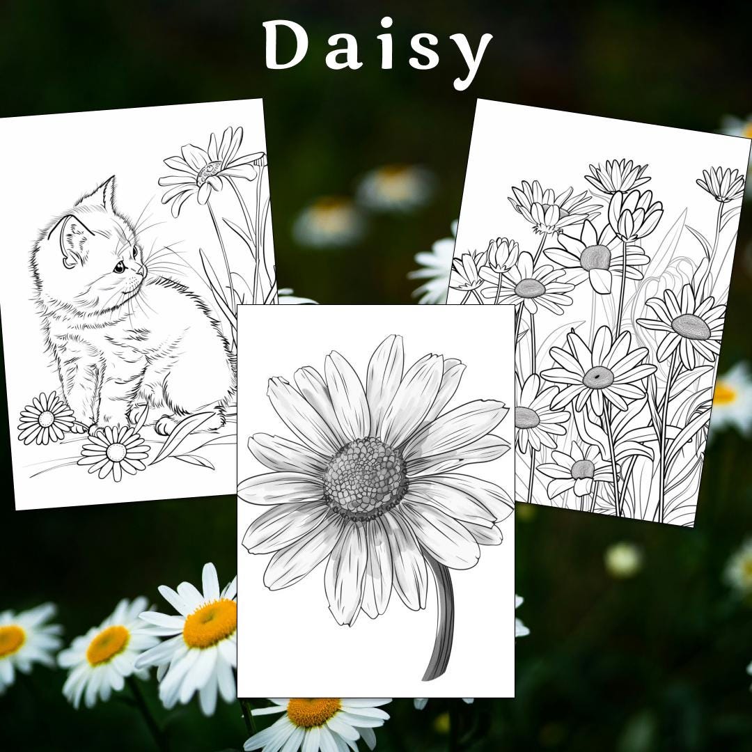28 Daisy Coloring Page, Flowers Coloring Book, Daisies Coloring, Adults ...
