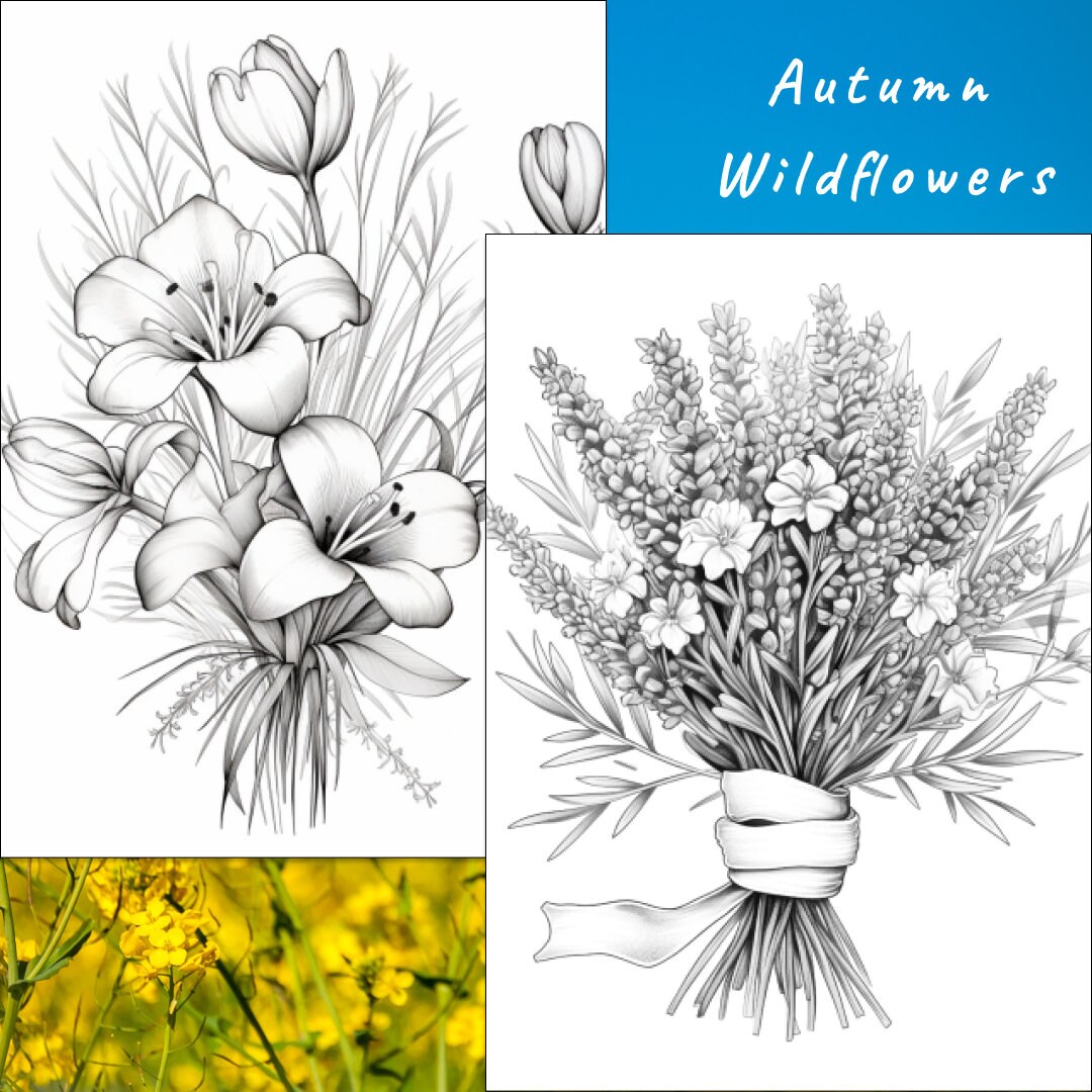 32 Autumn Wildflowers Coloring Page, Autumn Coloring Book, Flower ...