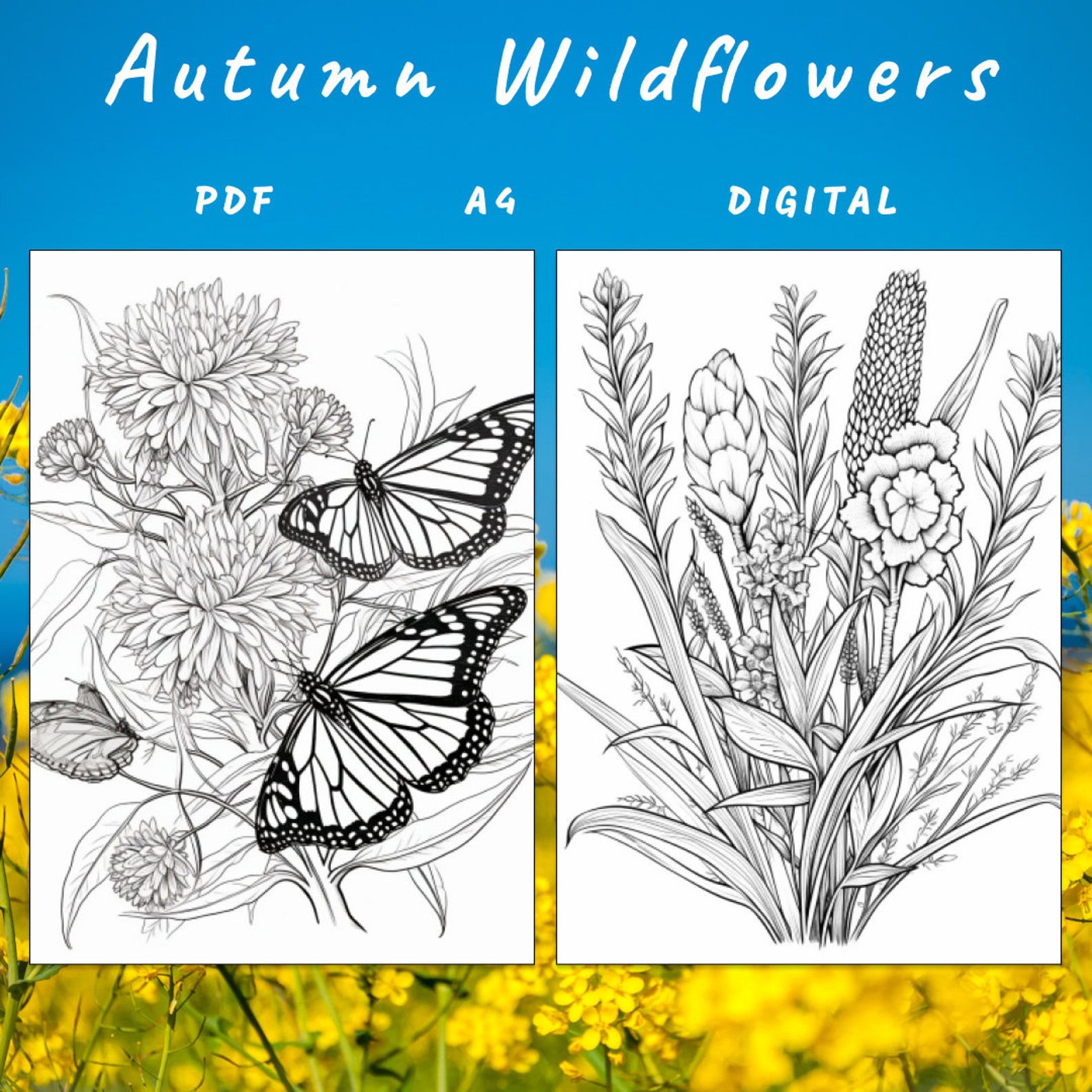 32 Autumn Wildflowers Coloring Page, Autumn Coloring Book, Flower ...
