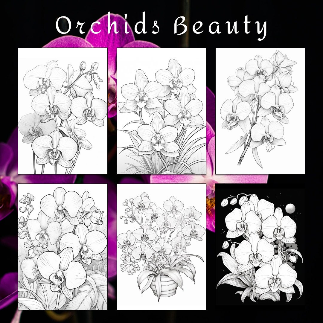 27 Orchids Beauty Coloring Page, Flowers Coloring Book, Orchids ...