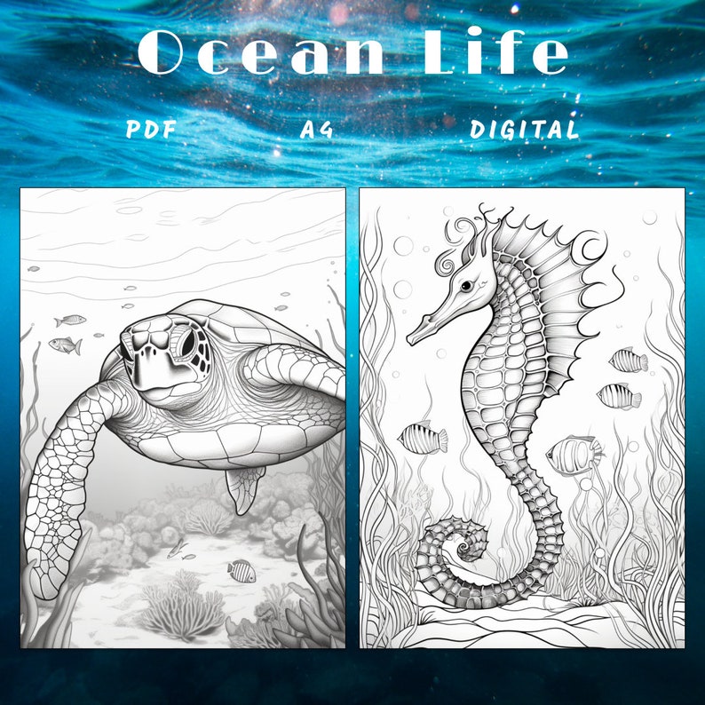 28 Ocean Life Coloring Page, Ocean Coloring, Sea Coloring Book, Adults ...