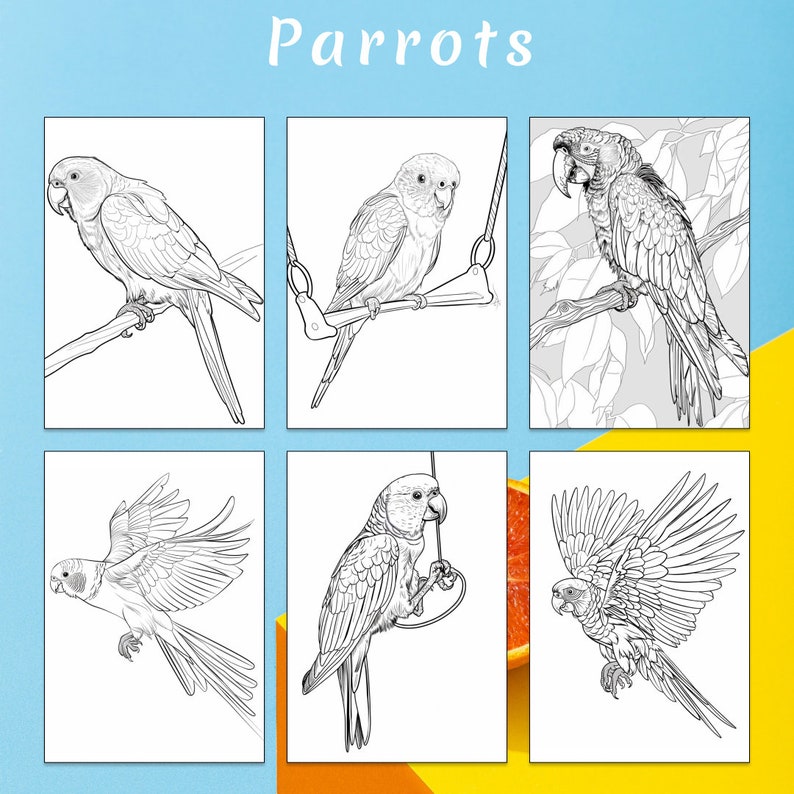 25 Parrots Coloring Page, Birds Coloring, Parrots Coloring Book, Adults ...