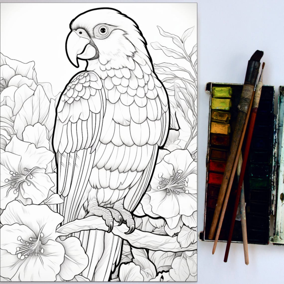 30 Birds and Flowers Coloring Page, Flower Coloring, Birds Coloring ...