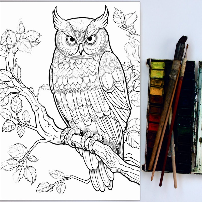 35 Night Beauty Coloring Page, Night Coloring, Moonlight Coloring Book ...
