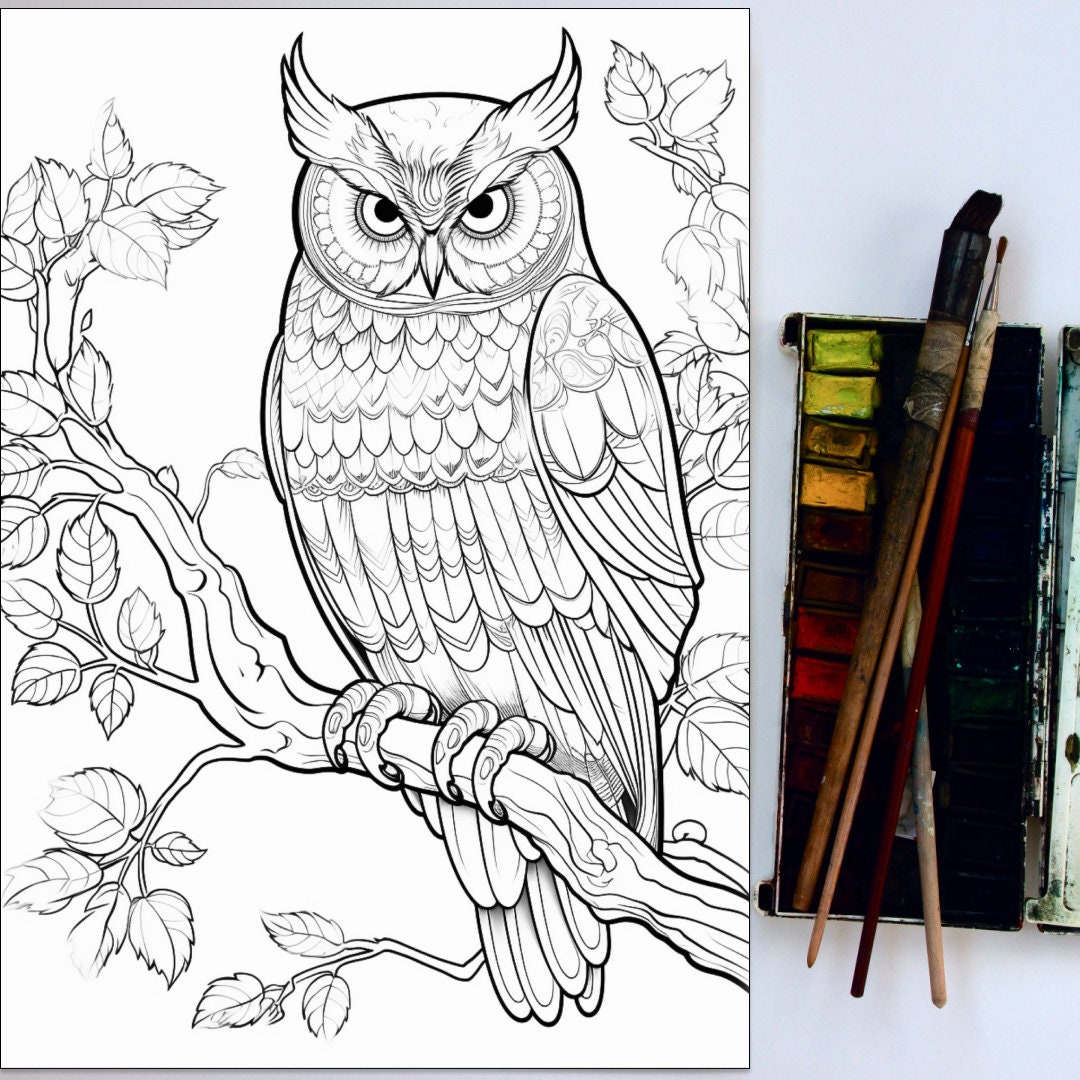 35 Night Beauty Coloring Page, Night Coloring, Moonlight Coloring Book ...