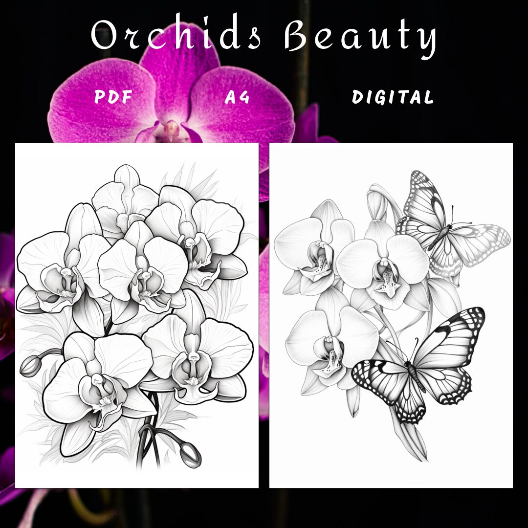 27 Orchids Beauty Coloring Page, Flowers Coloring Book, Orchids ...