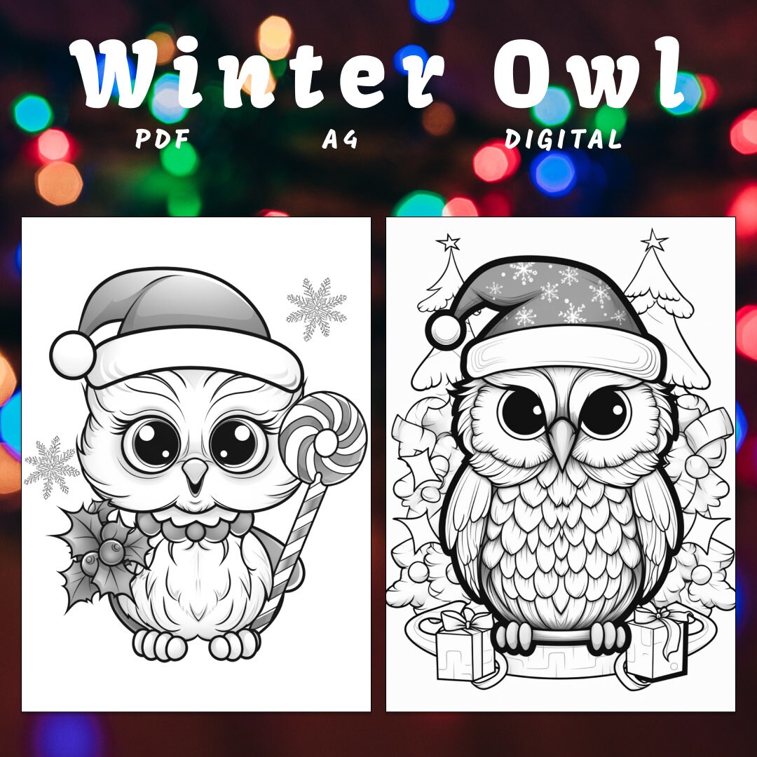 32 Winter Owl Coloring Page, Cute Owl Coloring Book, Owl Coloring Book ...