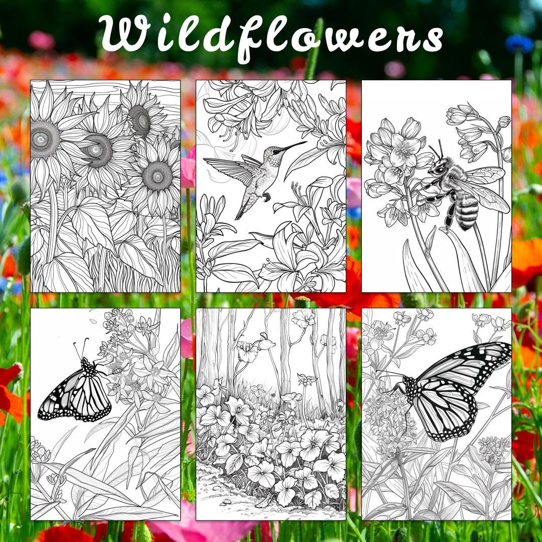 24 Wildflowers Coloring Page, Flowers Coloring Book, Wildflower ...