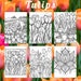 15 Tulips Coloring Page, Flowers Coloring Book, Tulips Coloring Book ...