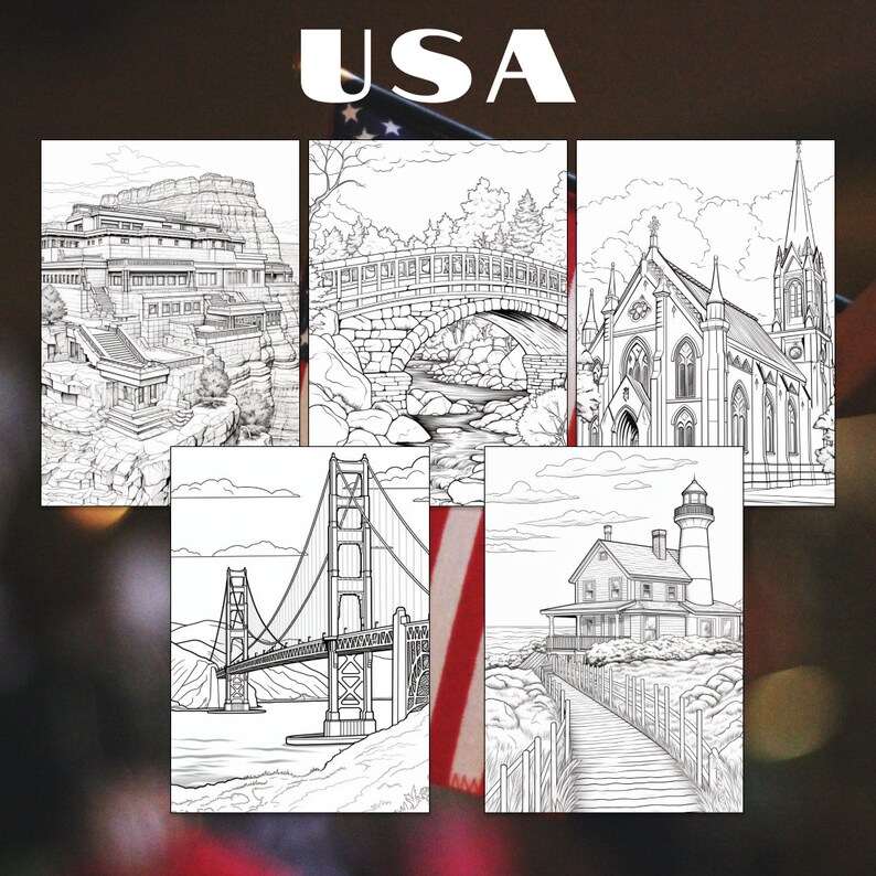 23 USA Coloring Page USA Architecture Coloring American - Etsy